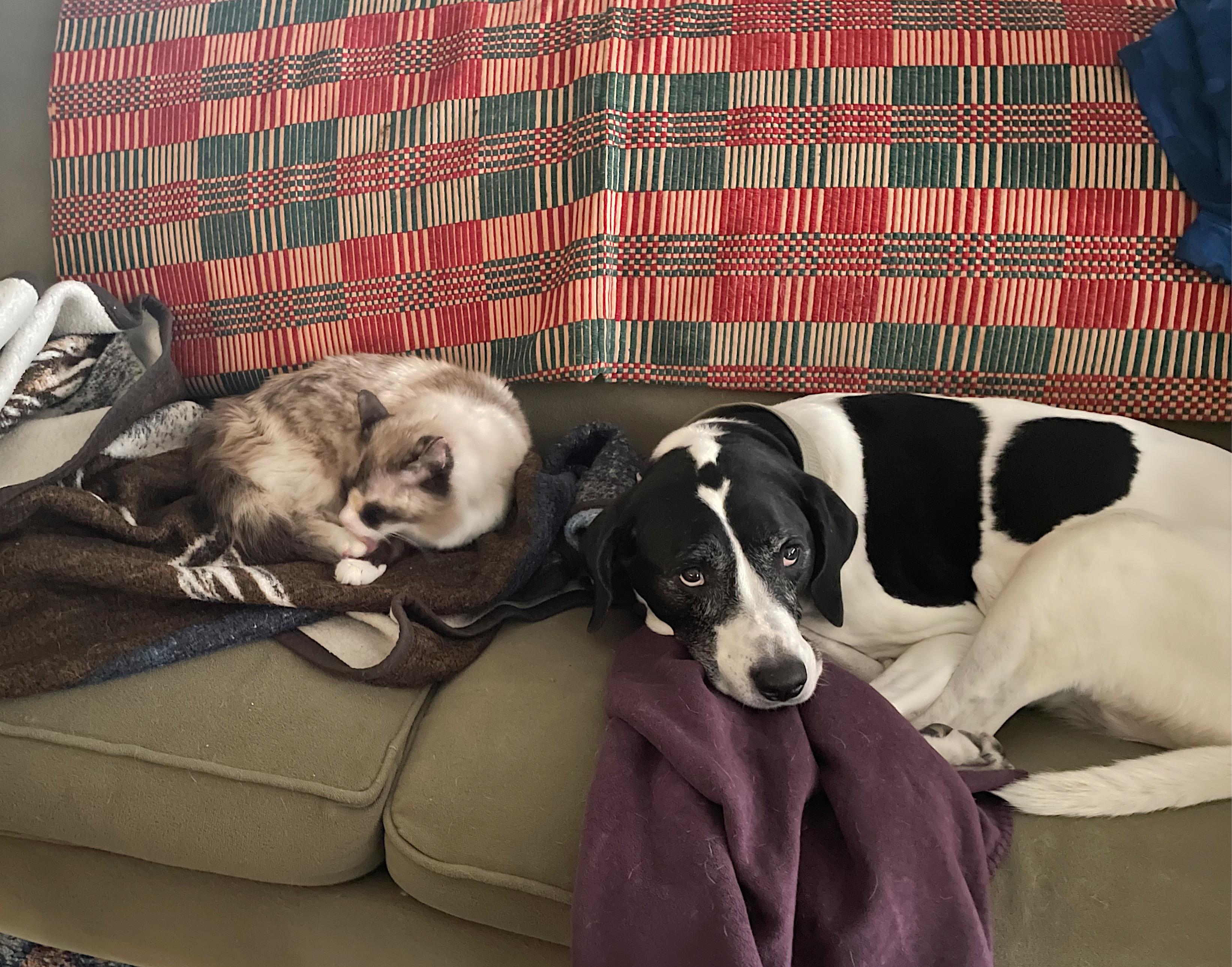 Caught cuddling | Scrolller