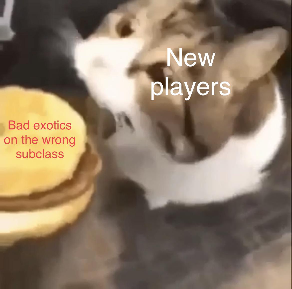 Random teams are a curse | Scrolller