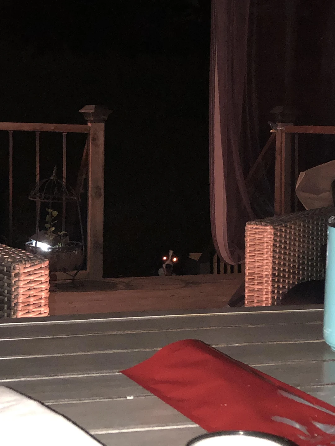 Laser focus | Scrolller