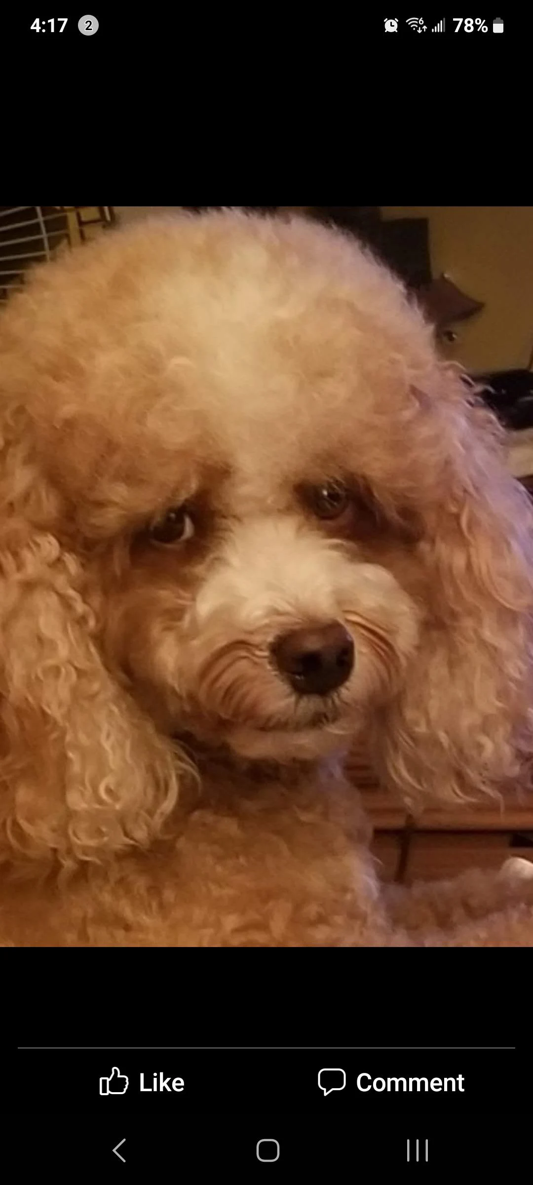 That 70s look.. | Scrolller