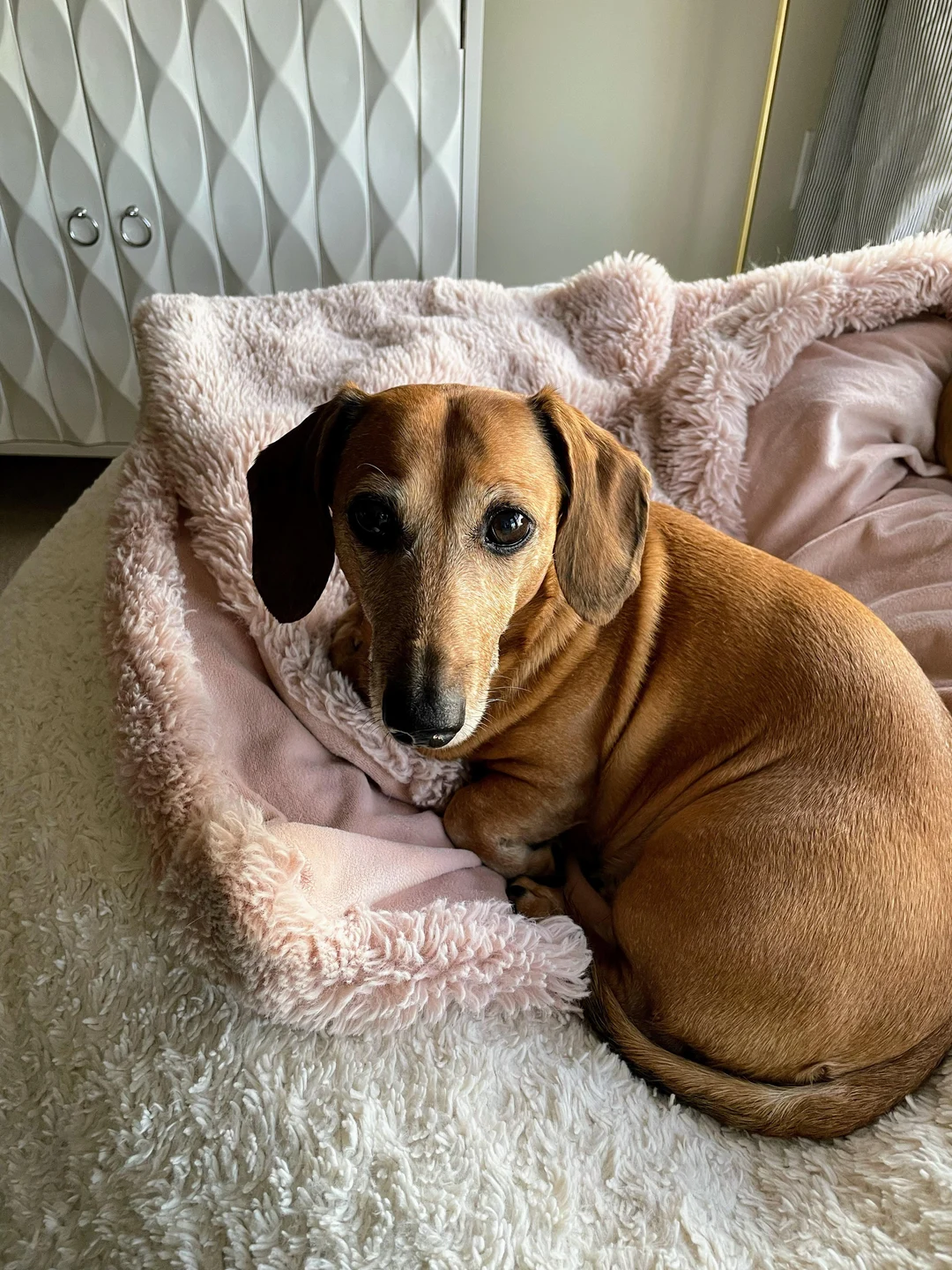 my devil in disguise 😇 | Scrolller