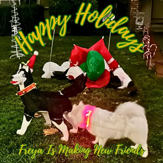 Our 4am walk this morning - Freya tried to make a new friend. Happy Holidays Everyone! | Scrolller