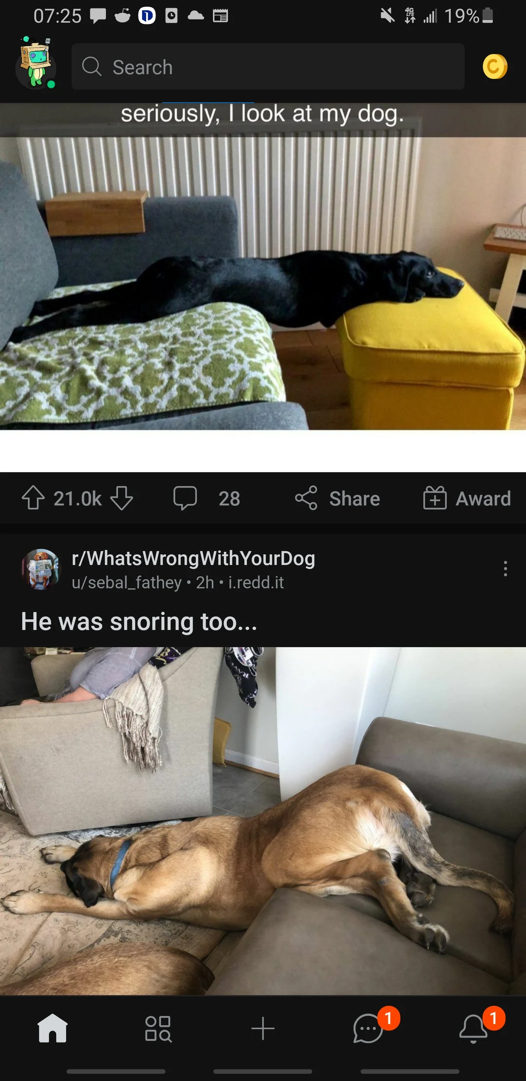 I've heard of barkour but when did planking get so big? | Scrolller