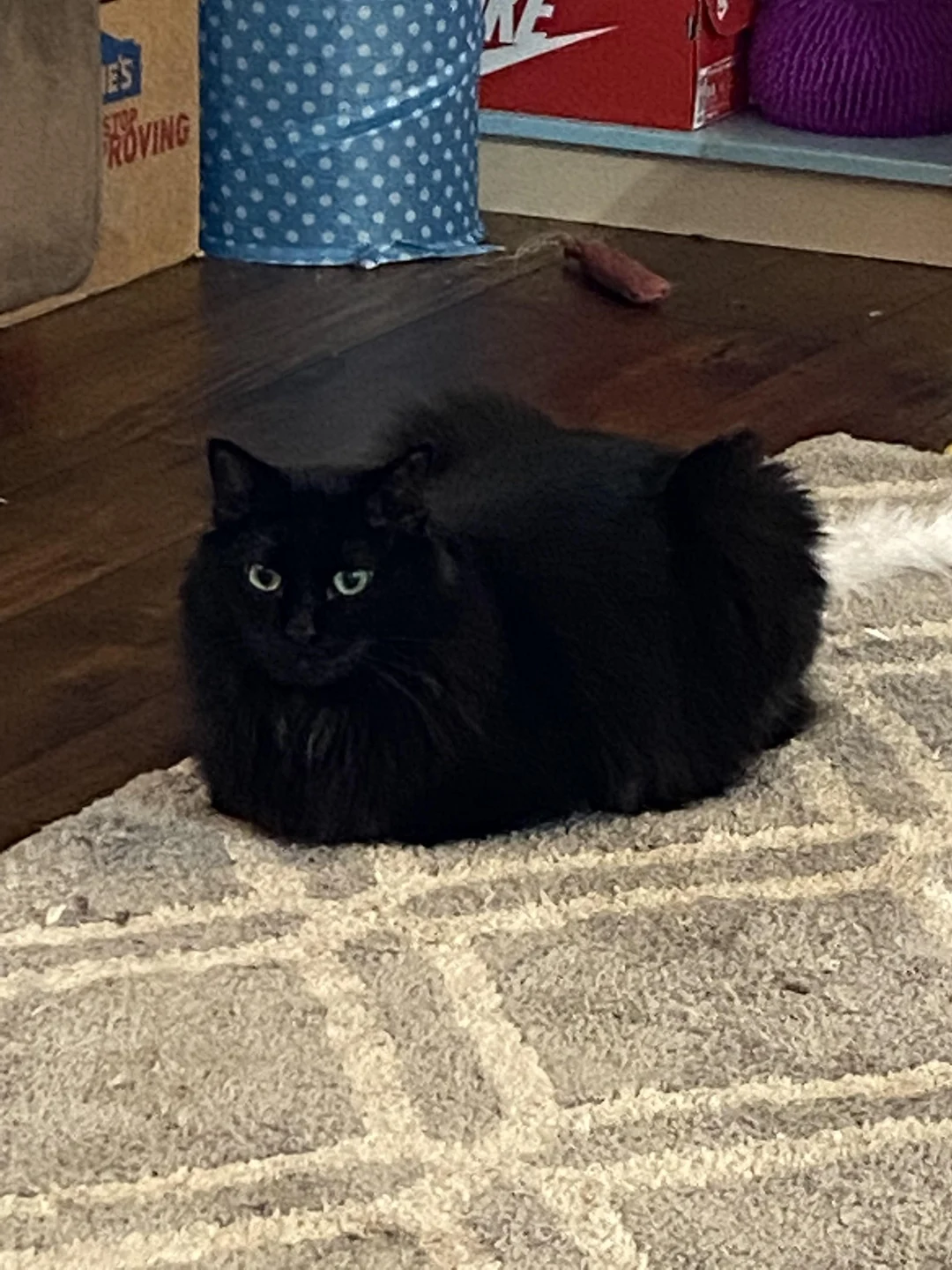 Burnt loaf with eyes | Scrolller