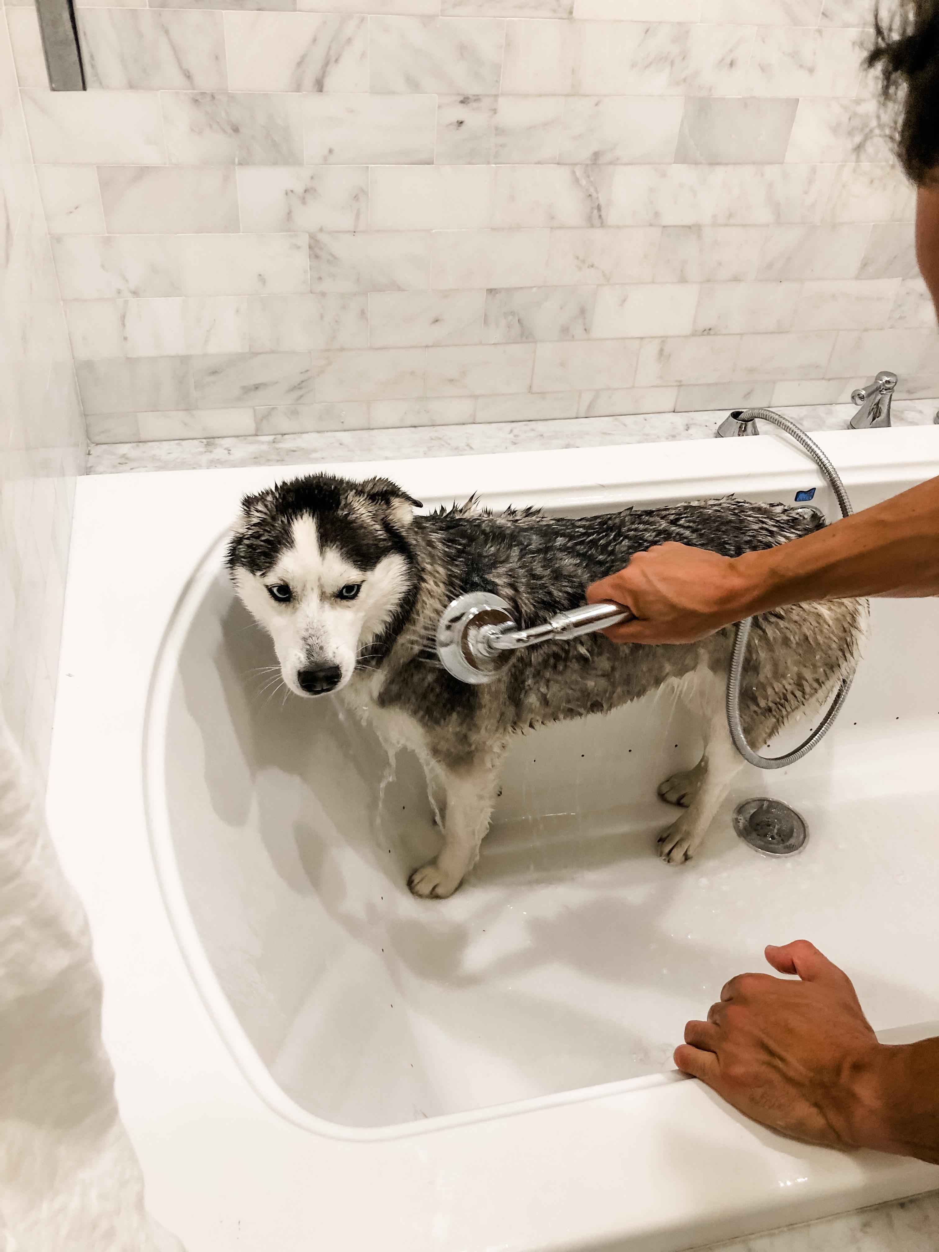 Betrayal. | Scrolller