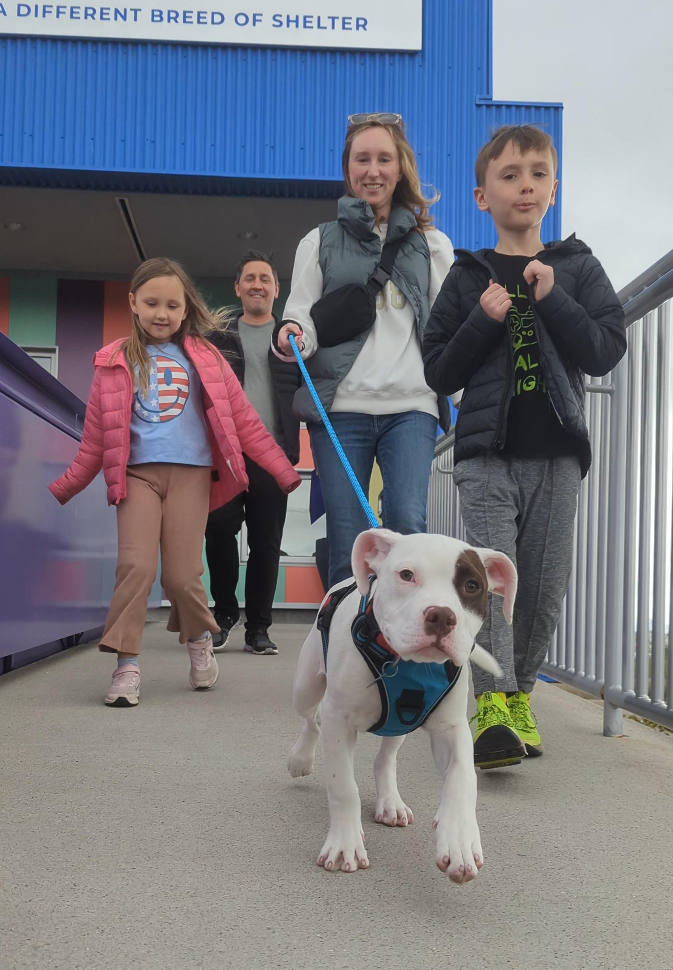 Adoption Day 💙 | Scrolller