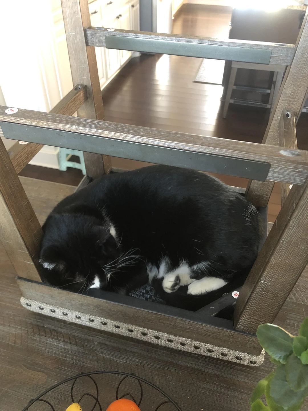 Not the most conventional trap but successful nonetheless | Scrolller