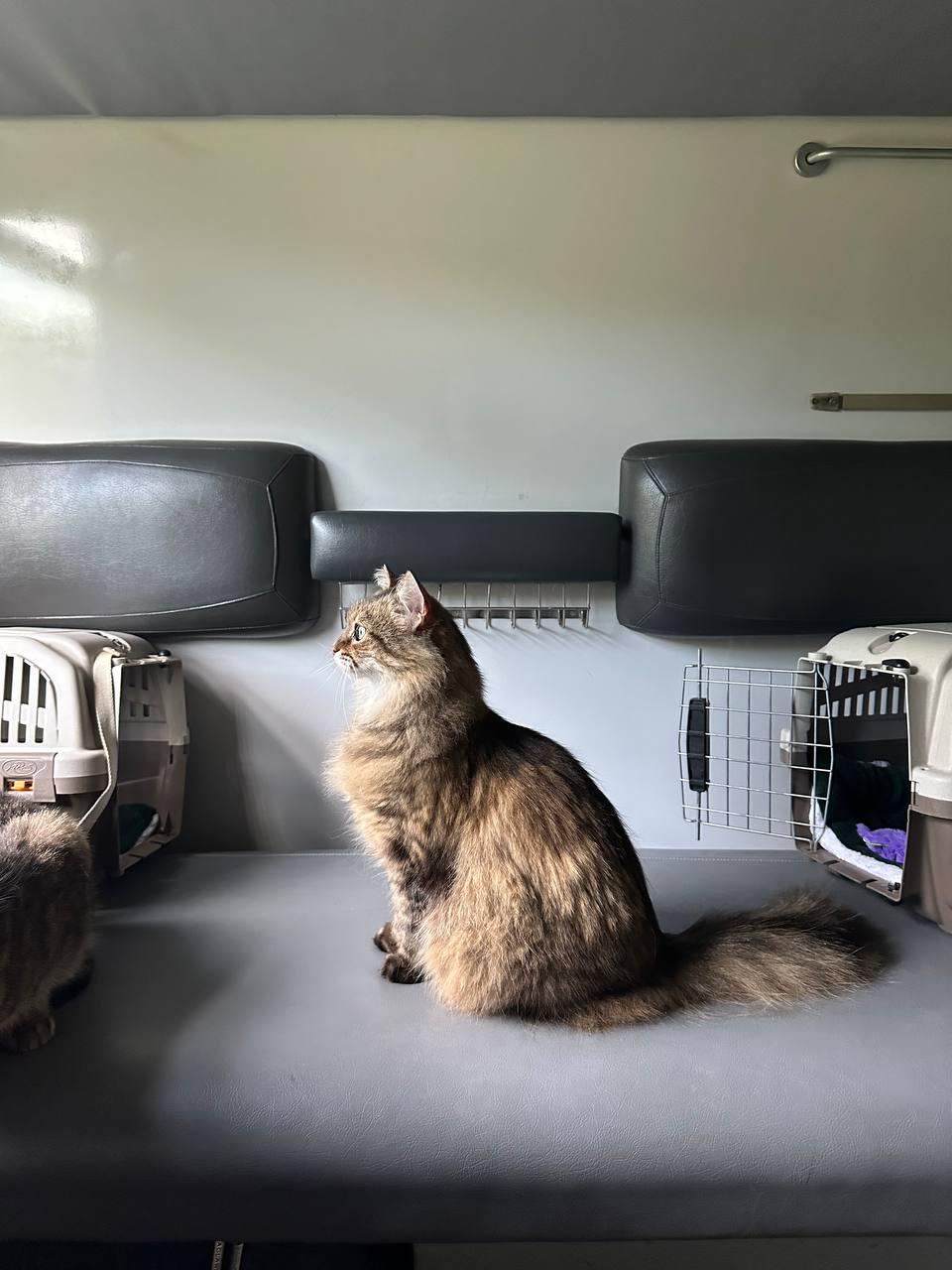 going to a bright future.. | Scrolller