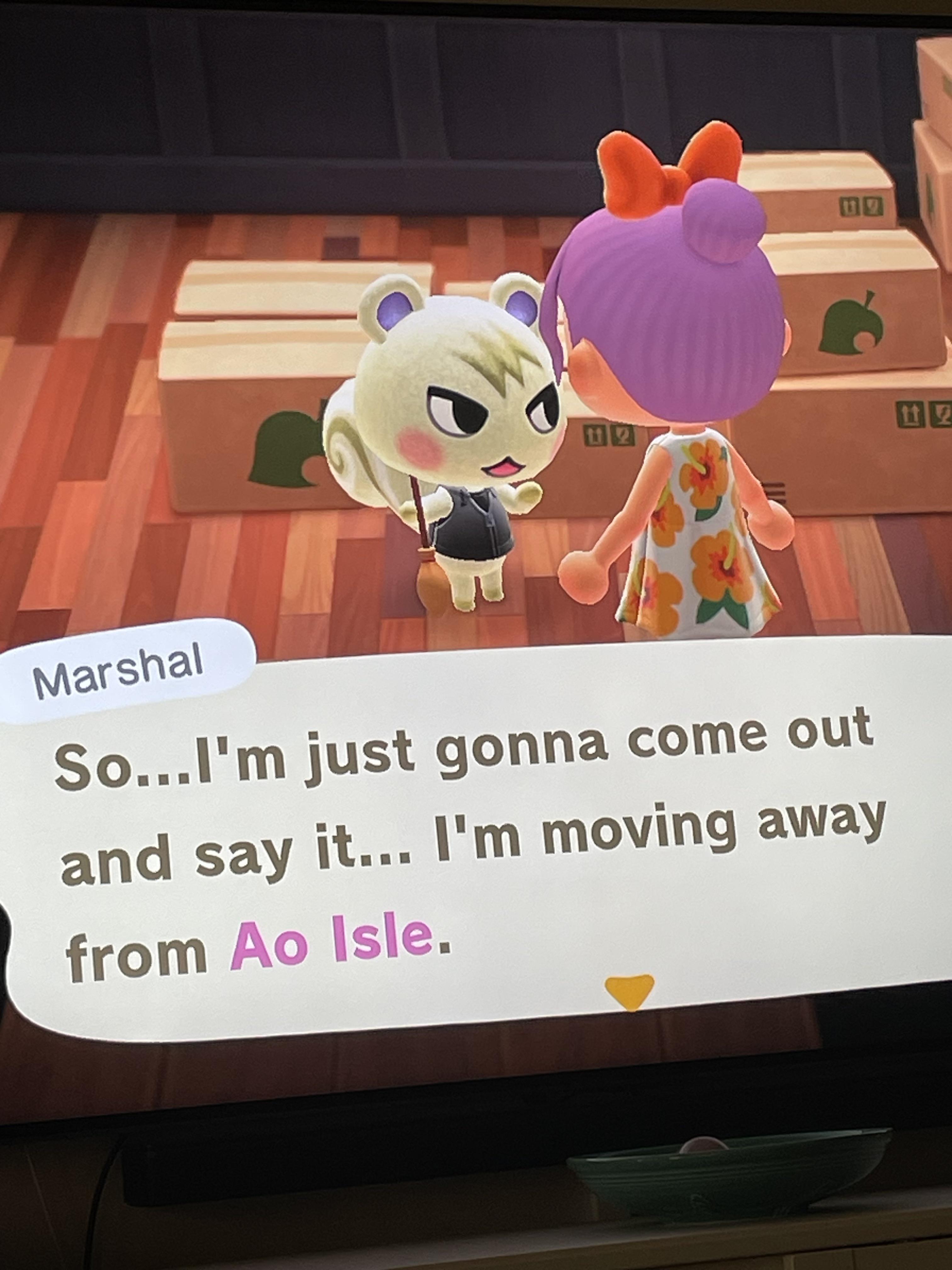 Marshall in boxes | Scrolller