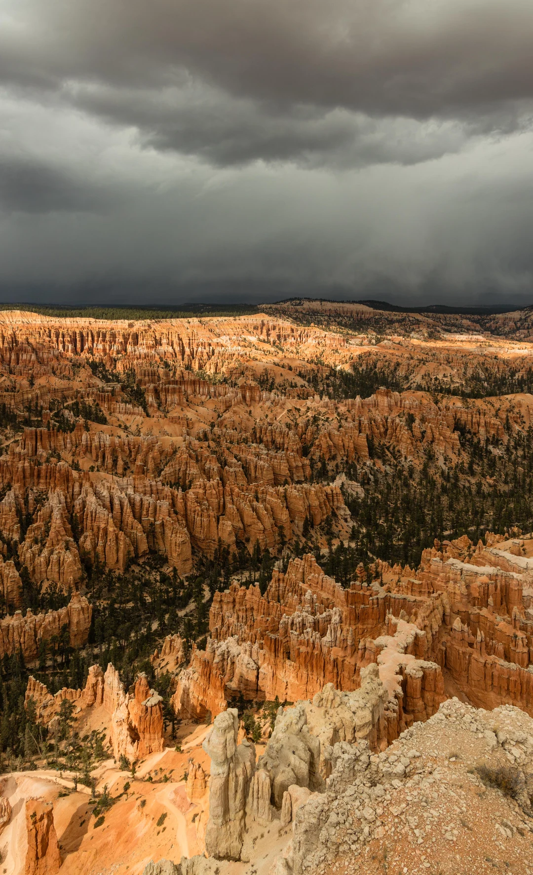 Classic view with approaching storm providing some drama [OC] [3489x5732] Bryce Canyon NP, Utah ...