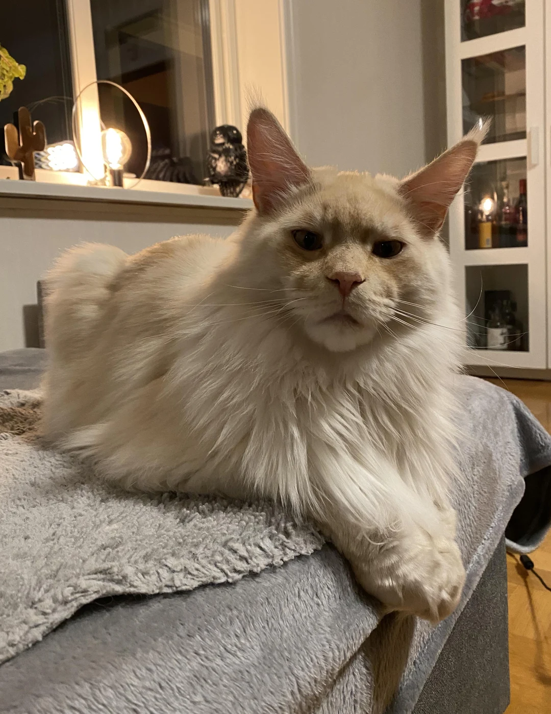 He won’t stop judging me.. | Scrolller