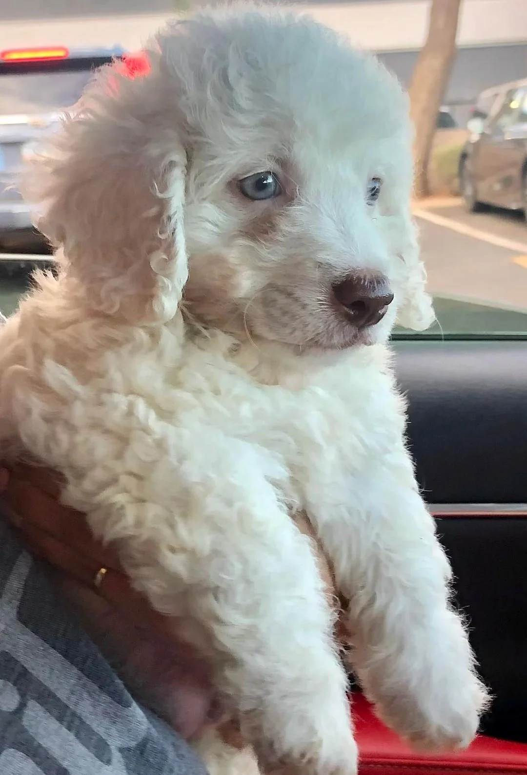 Any name suggestions? | Scrolller