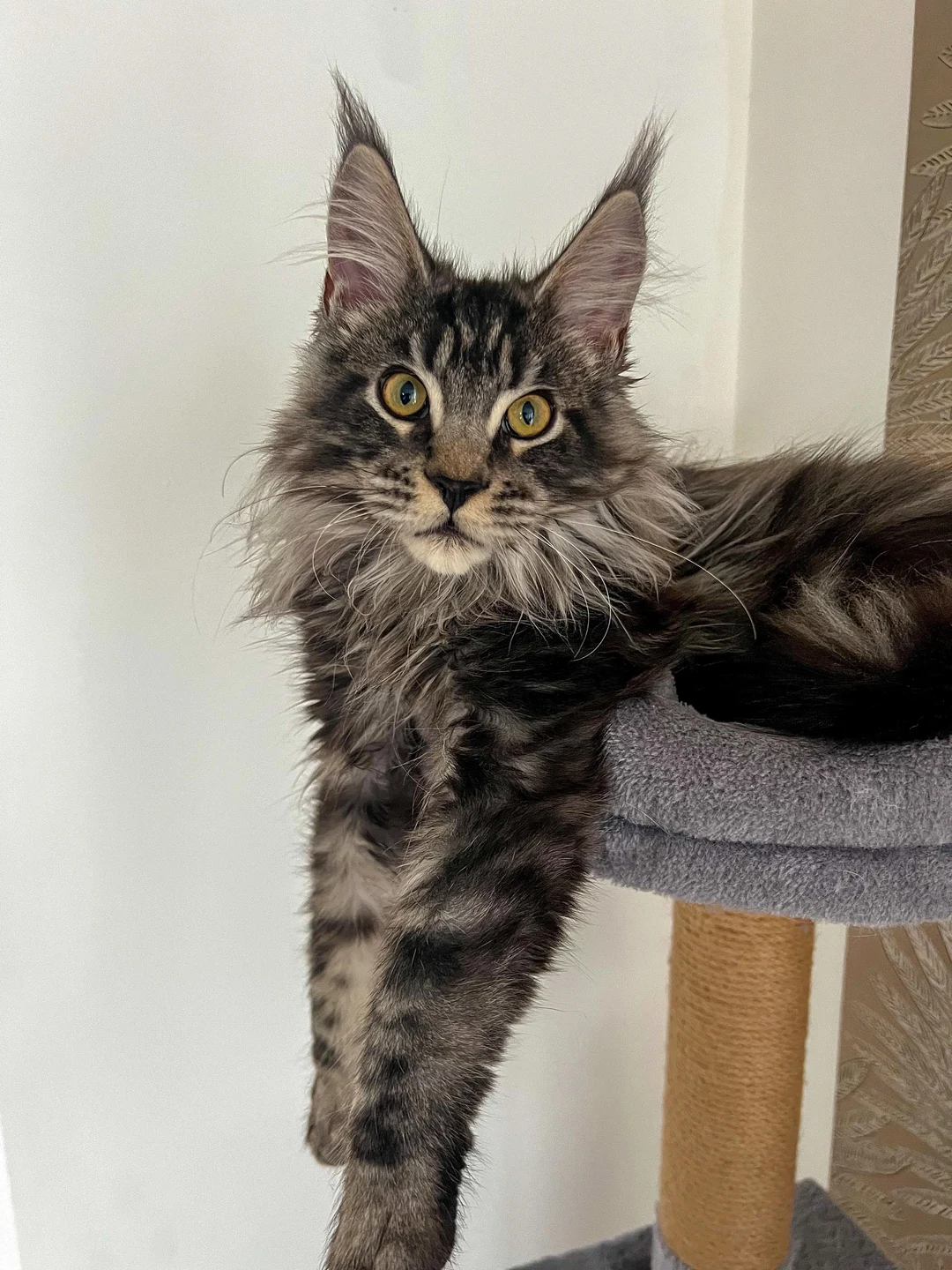 5 months old today! ️ ️ | Scrolller