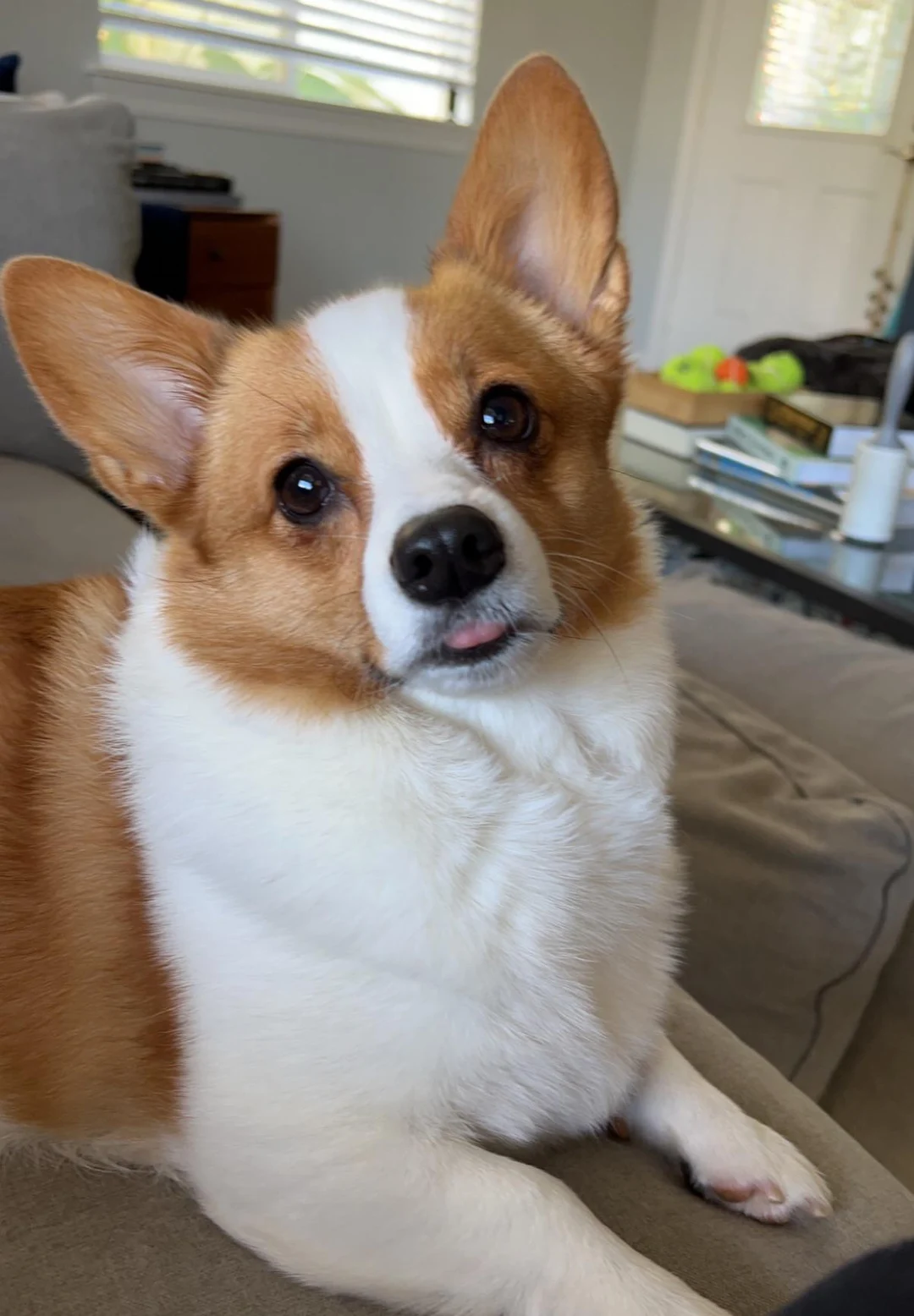 little blop | Scrolller