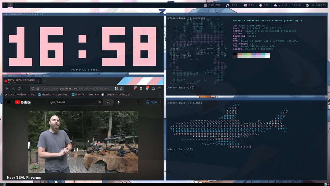 V2 Trans Color Rice [i3] | Scrolller