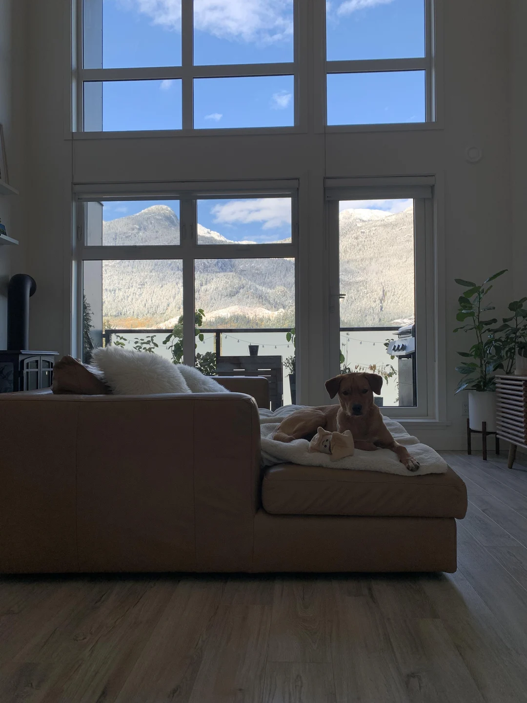 Reminiscing about last winter | Scrolller