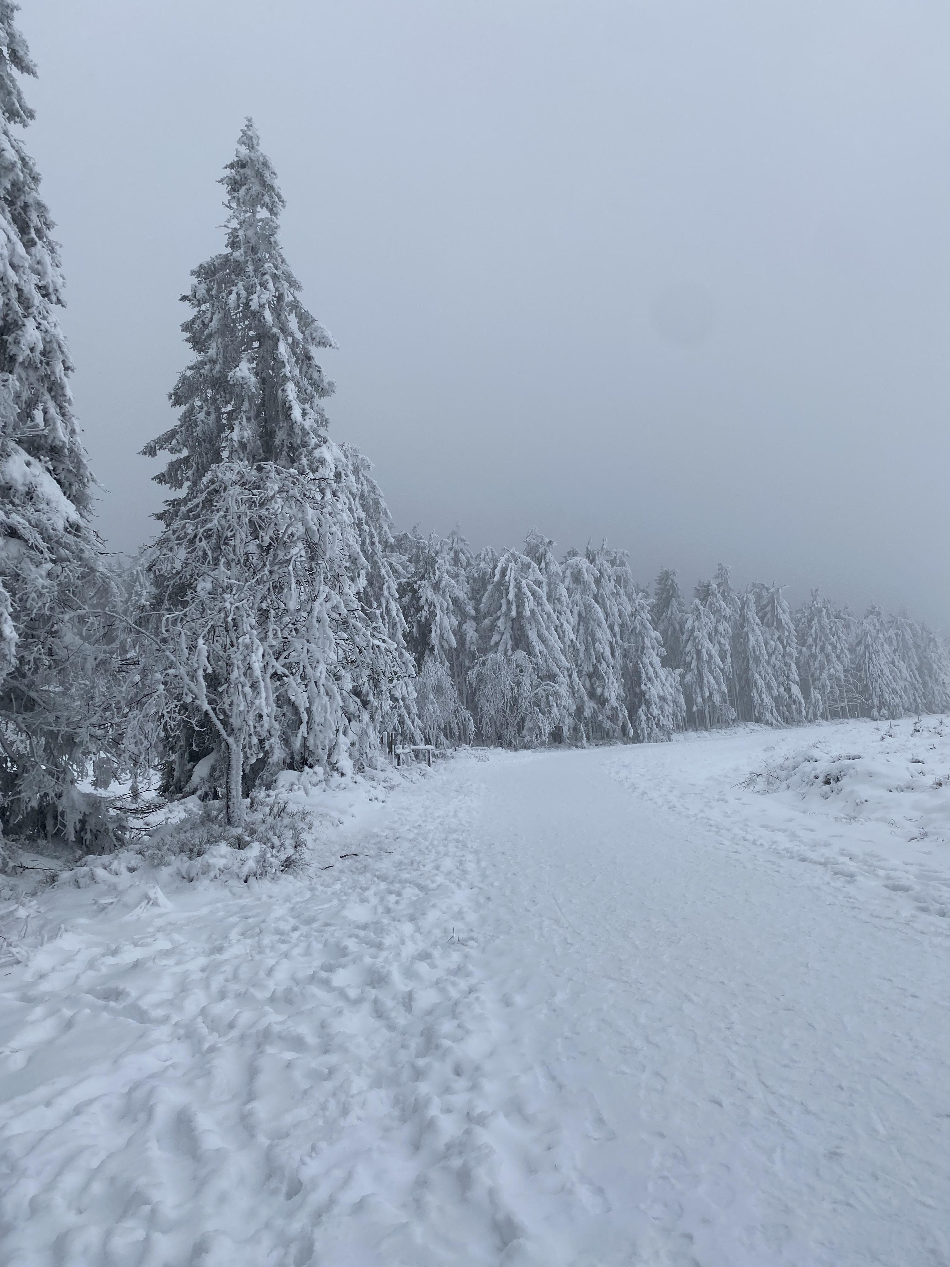 Belgium today | Scrolller