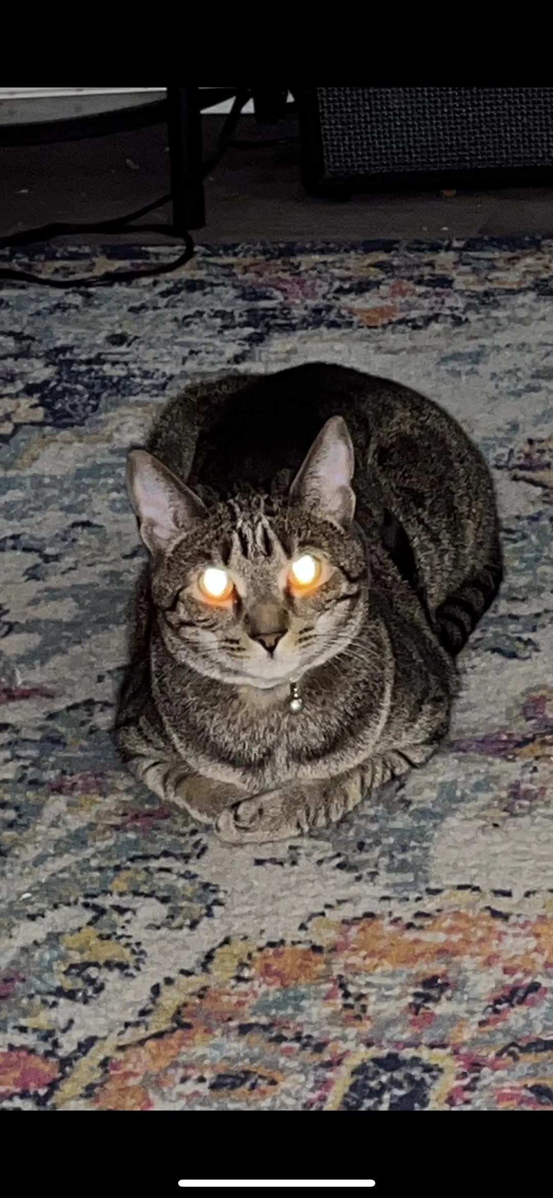 Loaf of Pure Evil | Scrolller
