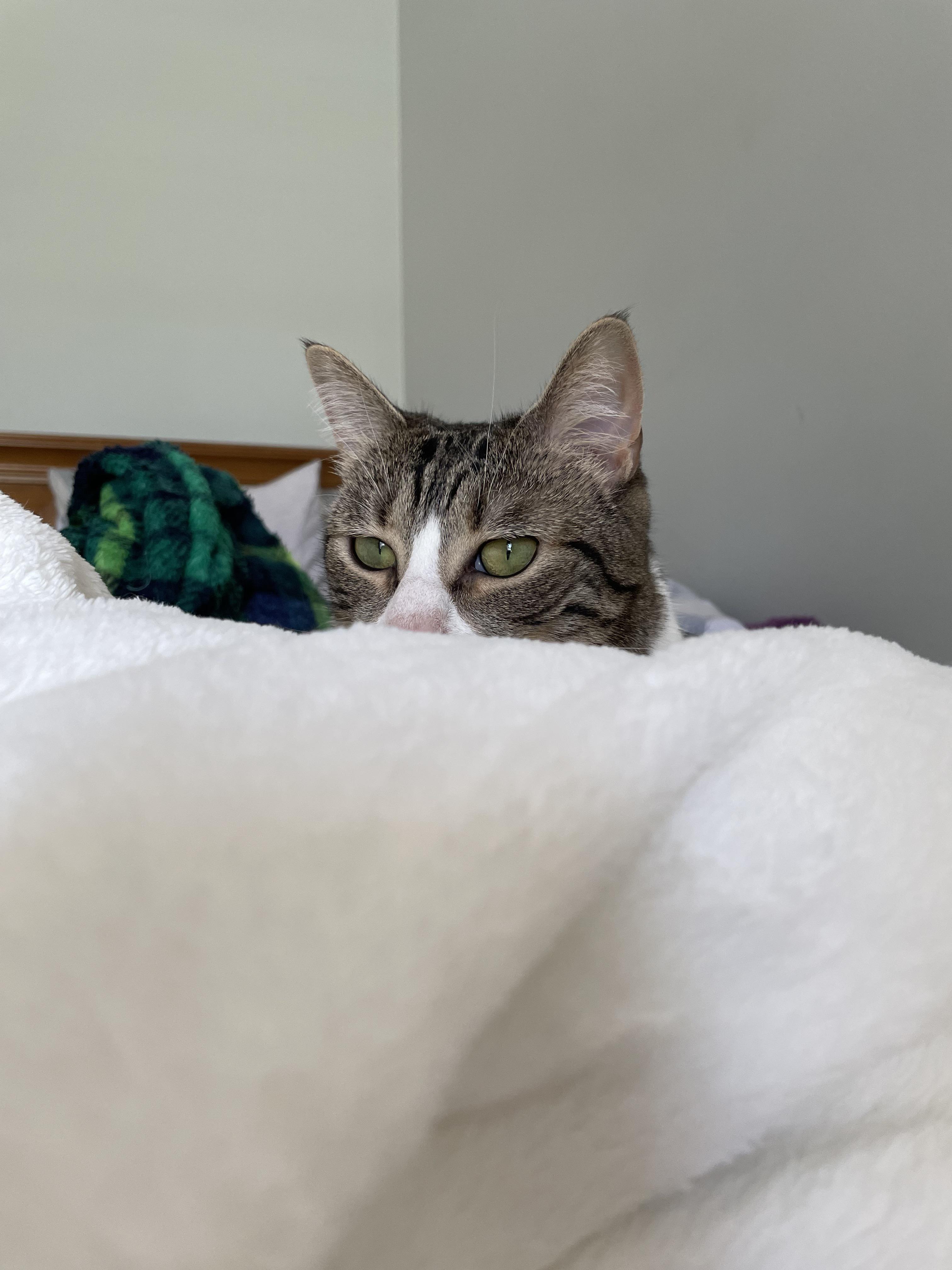 Hello There | Scrolller