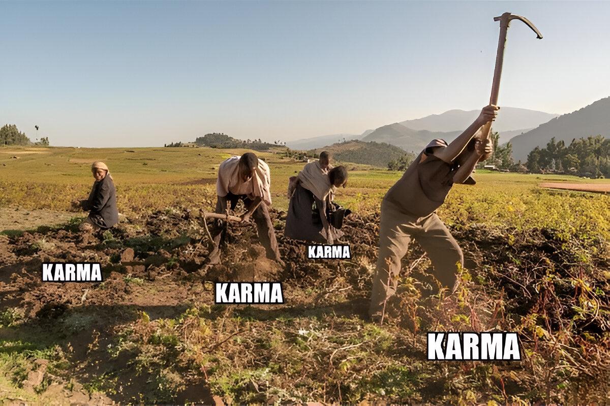 Who knew r/memes had more farmers than the countryside? Looks like the karma farmers are ...