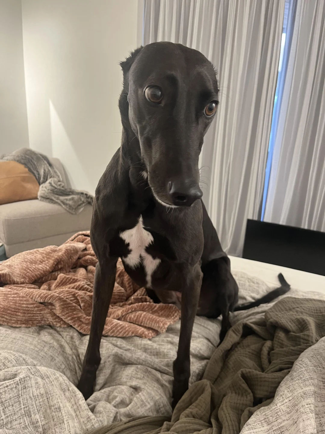 Had to board her for the first time in awhile. | Scrolller