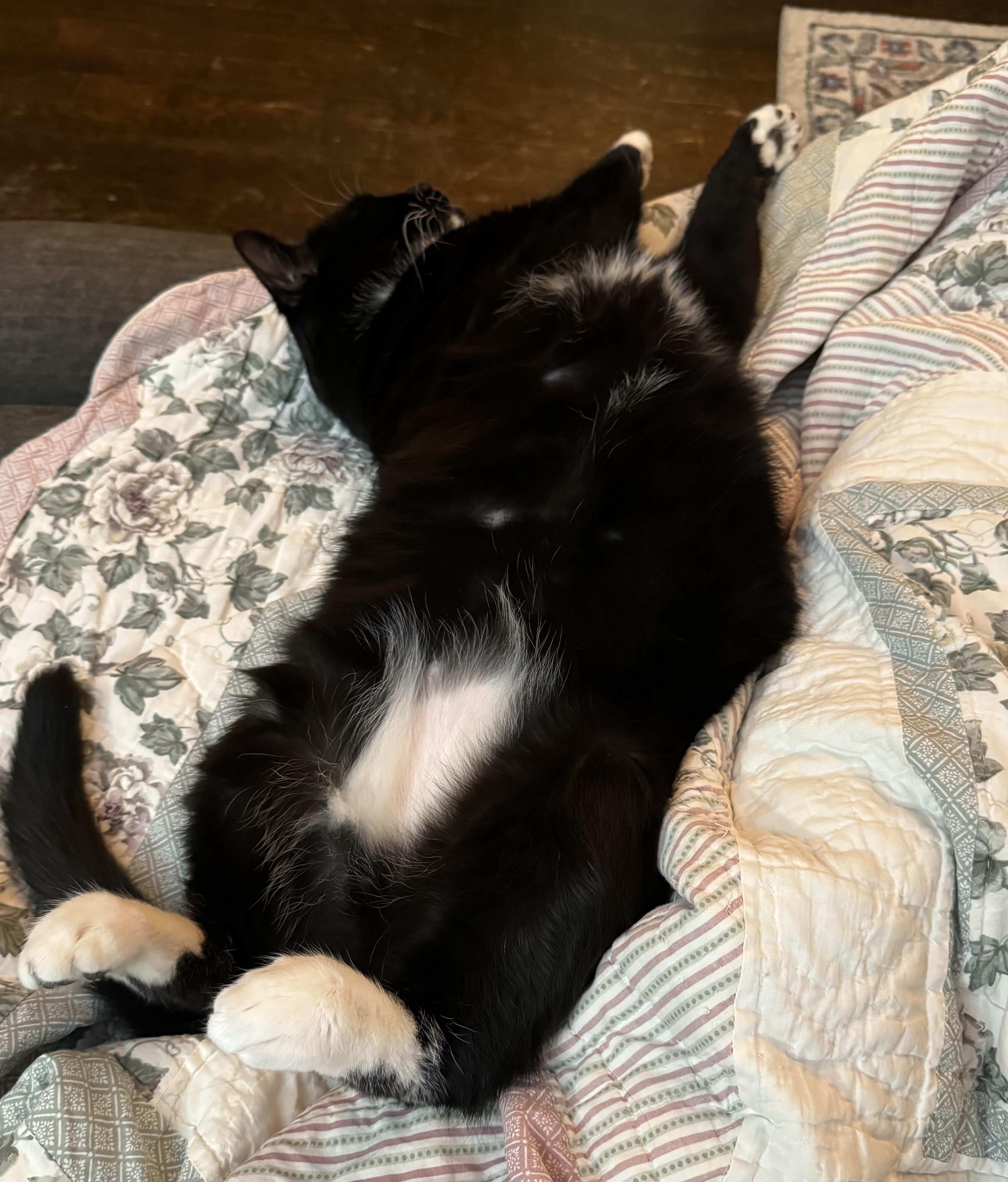 My happy boy ️ | Scrolller