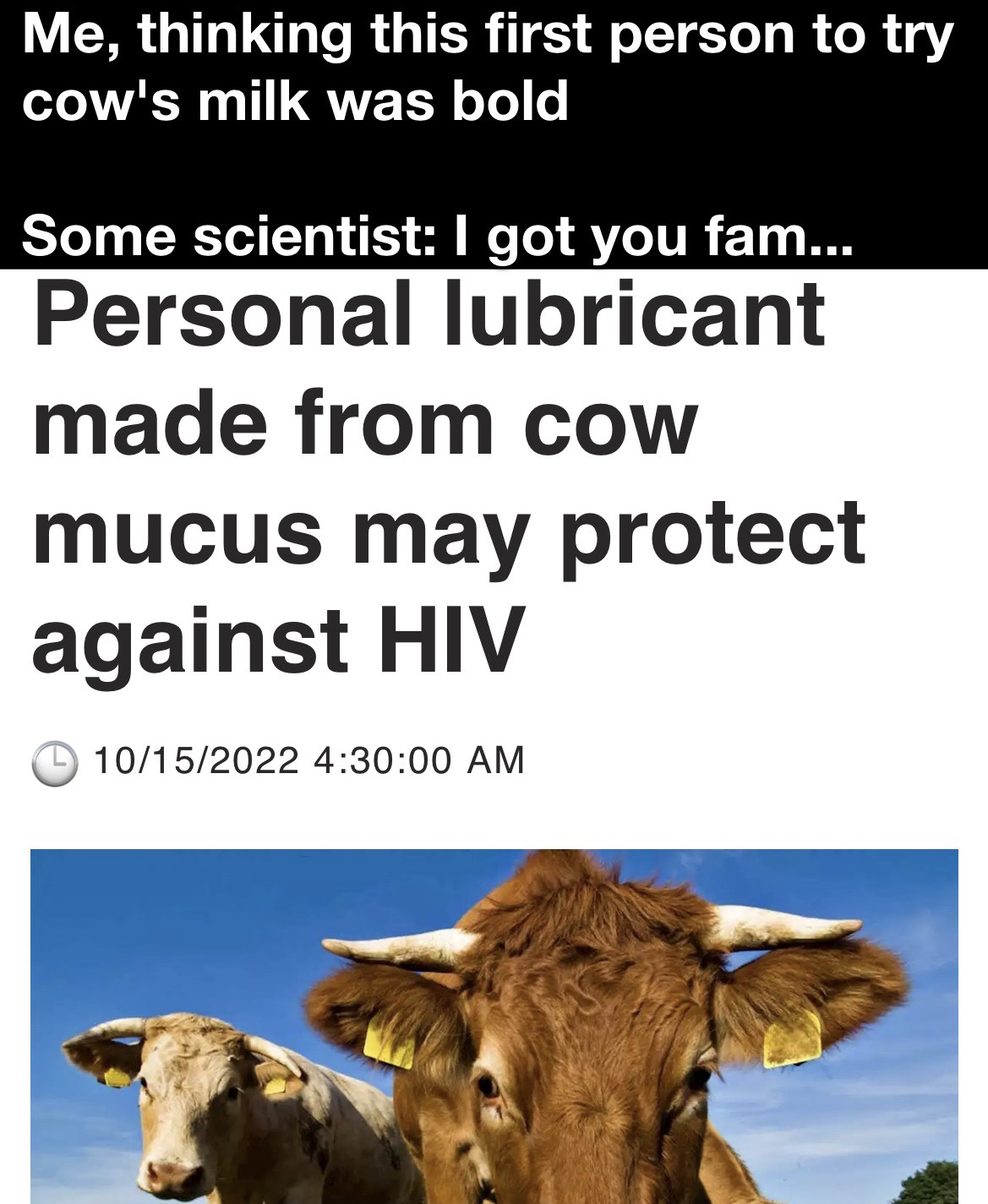 Bold mooove | Scrolller