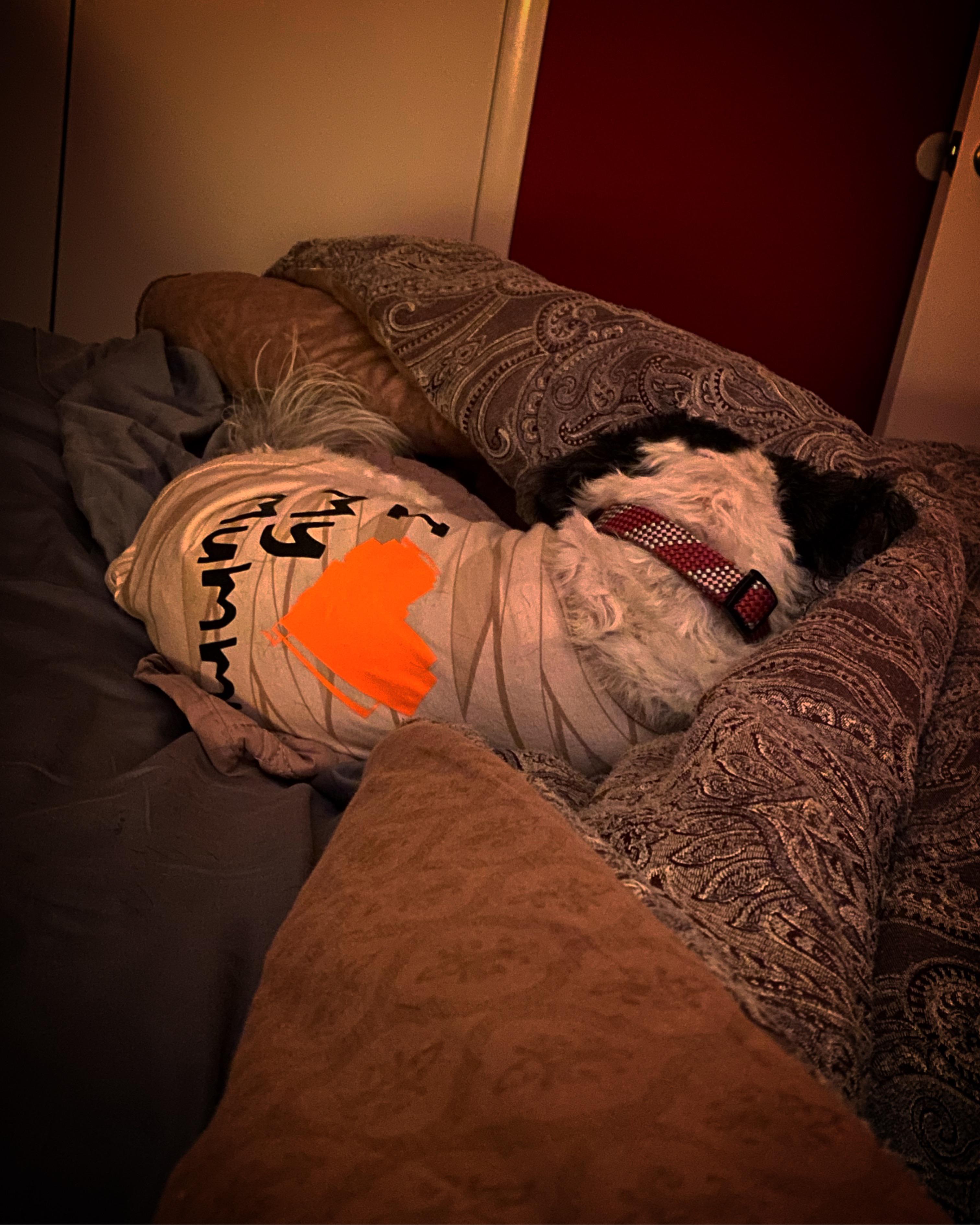 He loves his mummy. | Scrolller