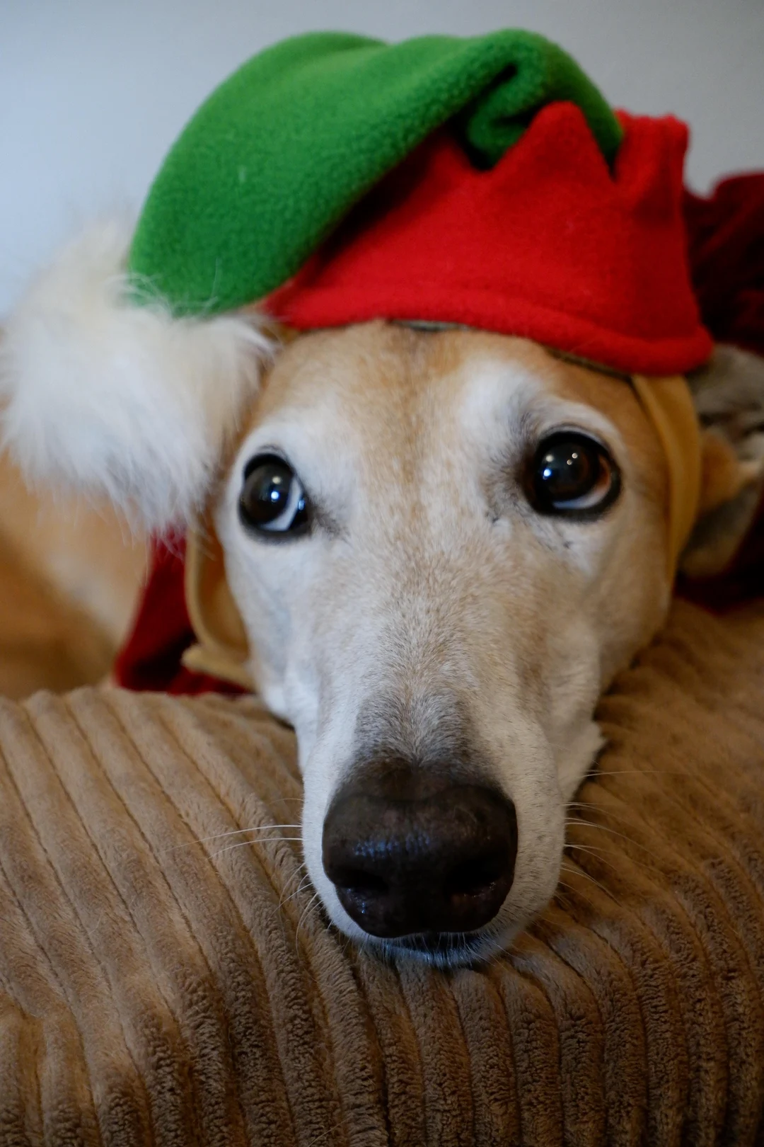 The ever patient Uma | Scrolller