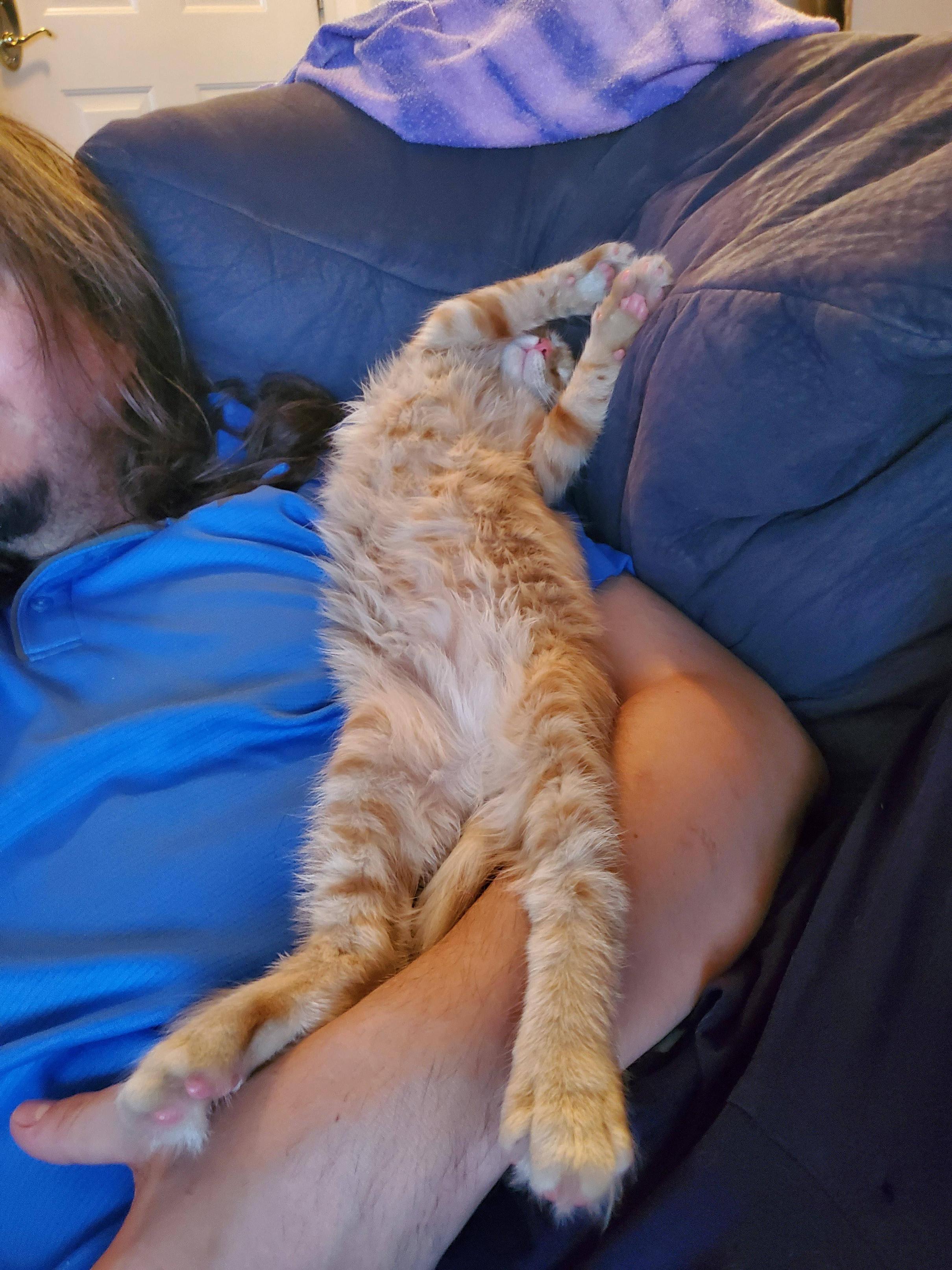 Dramatic derp | Scrolller