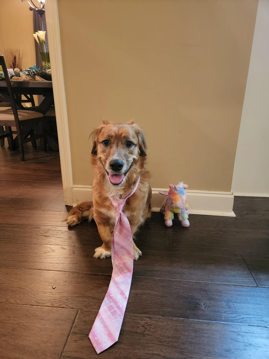 Graham Cracker Wants To Let All The Doggos Know That The Doggy Treat Stock Market Is Going Right ...