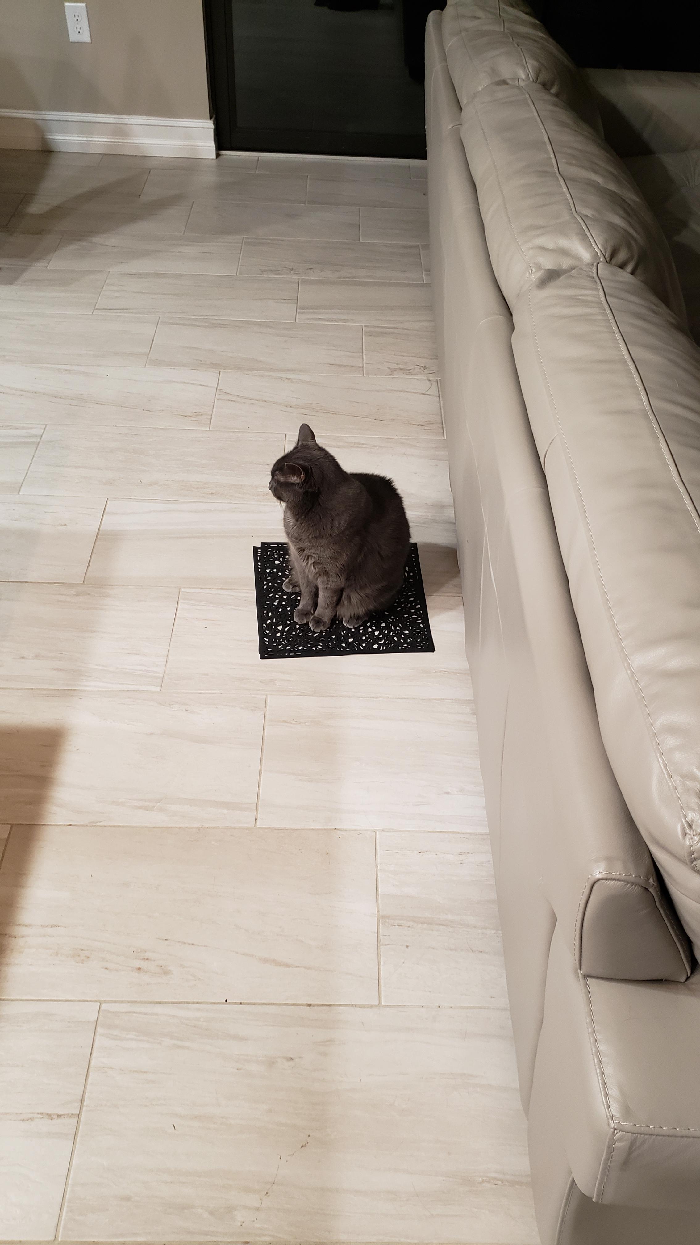 Trapped! | Scrolller