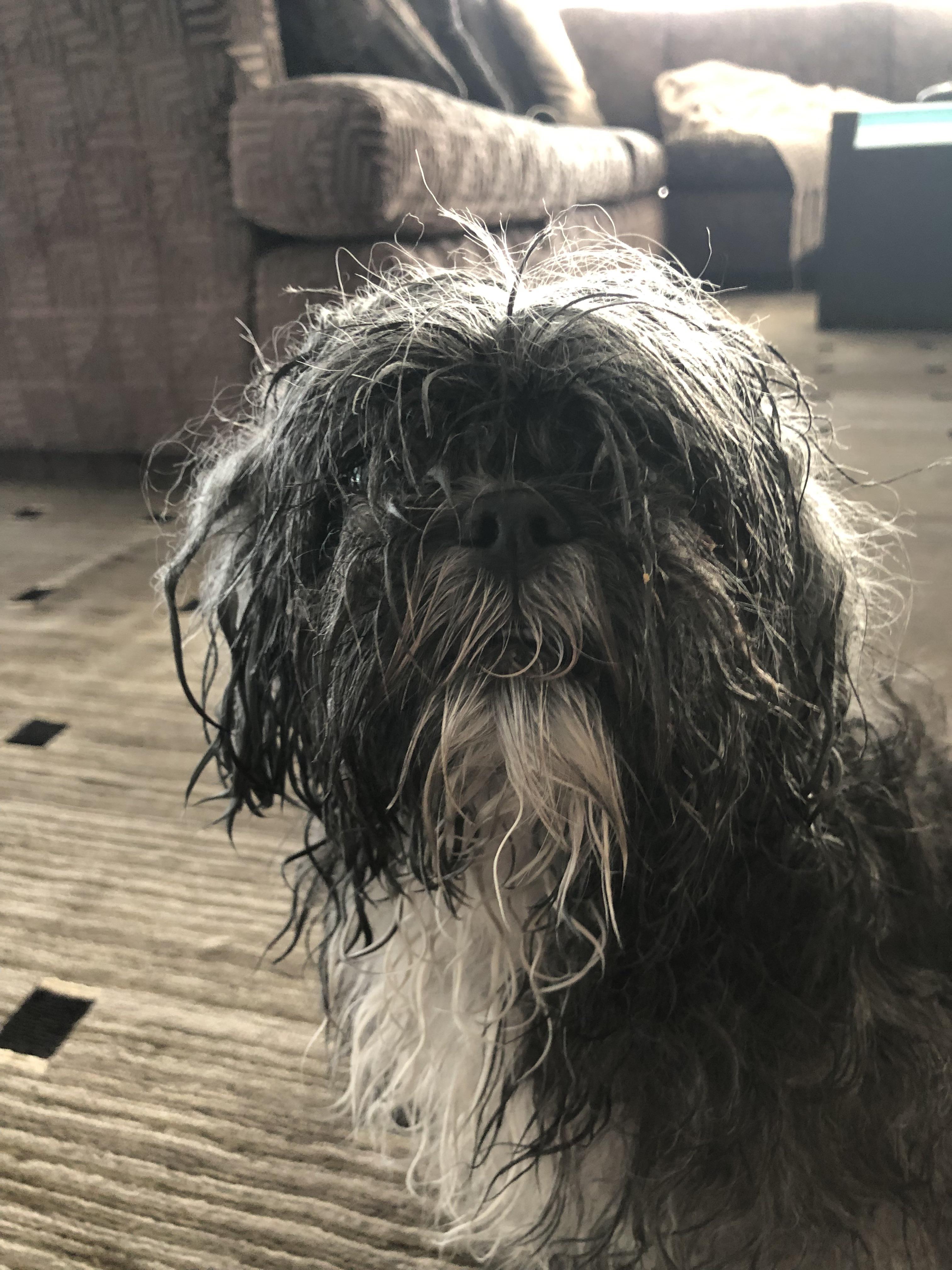 We don’t like the rain | Scrolller