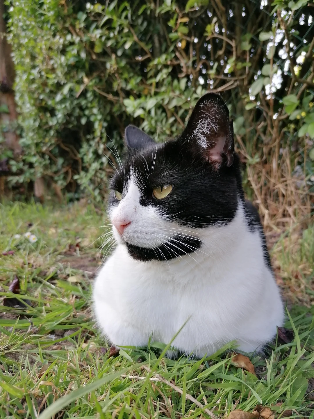 Garden Loaf | Scrolller