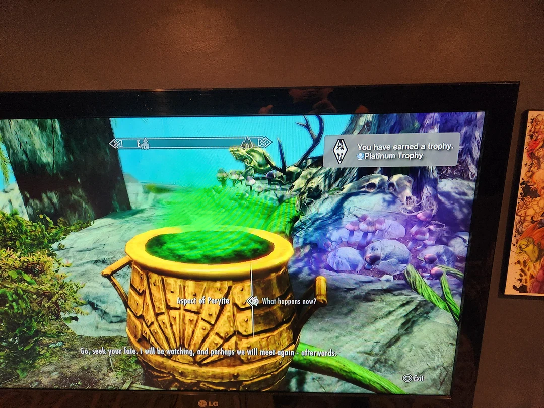 I've finally got the platinum (on PS3) | Scrolller