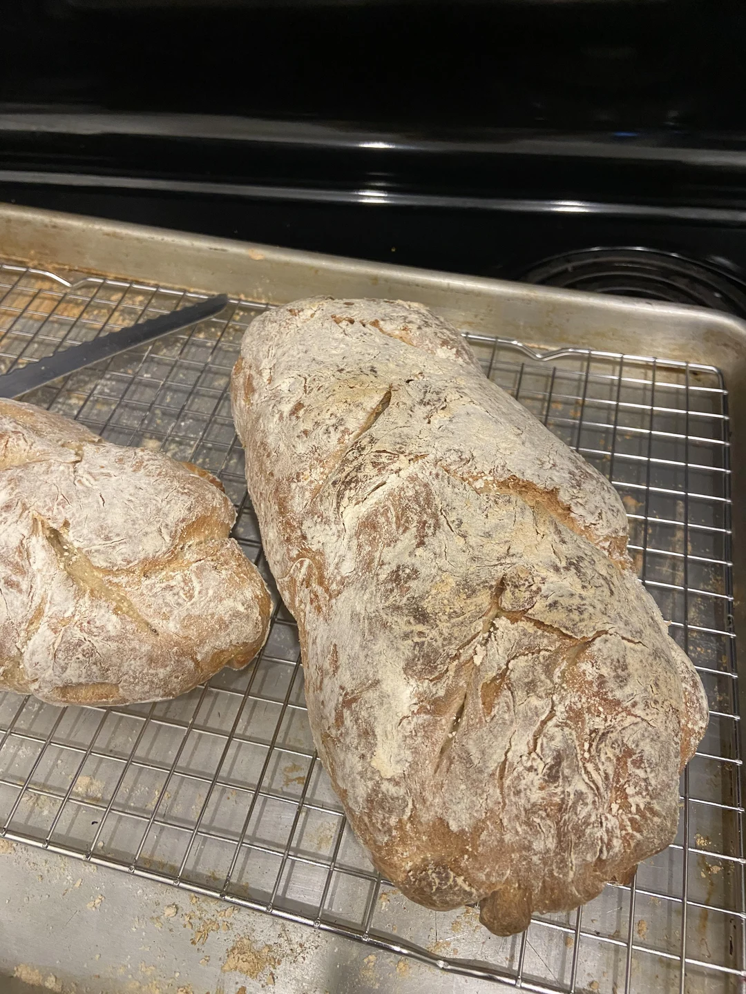My first ever loaves of bread | Scrolller