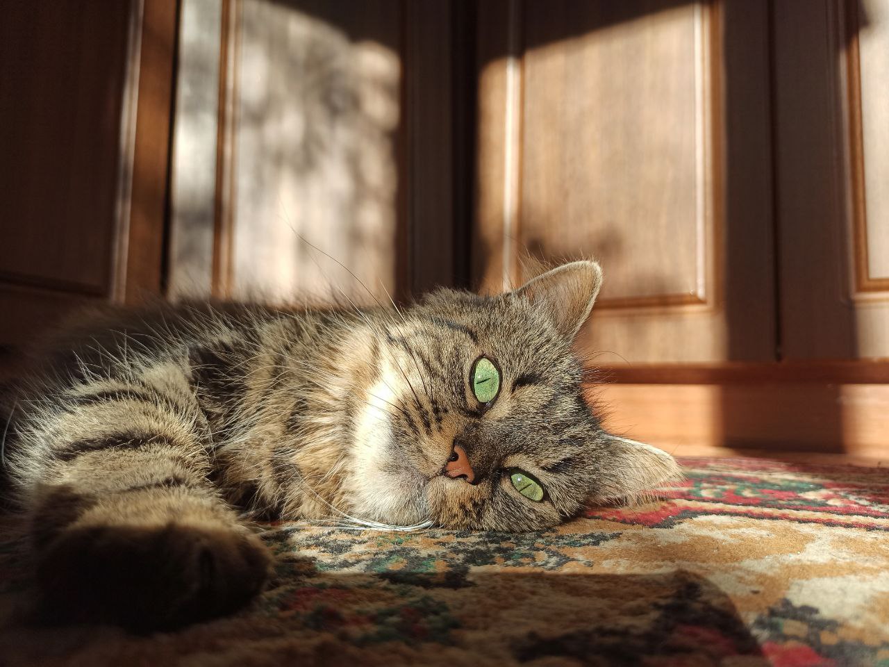 Supermodel from Ukraine💕 | Scrolller