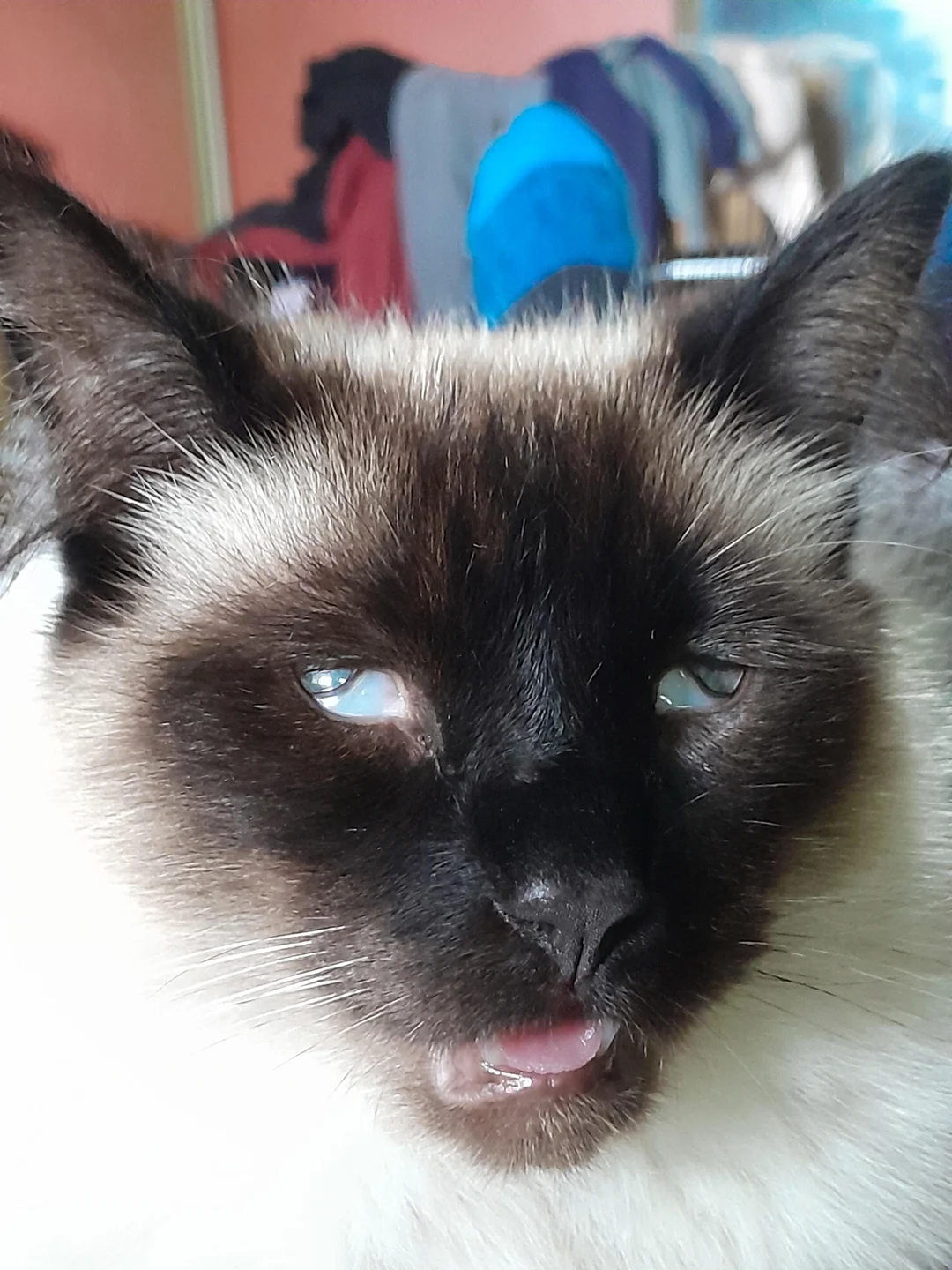 Say cheese! | Scrolller