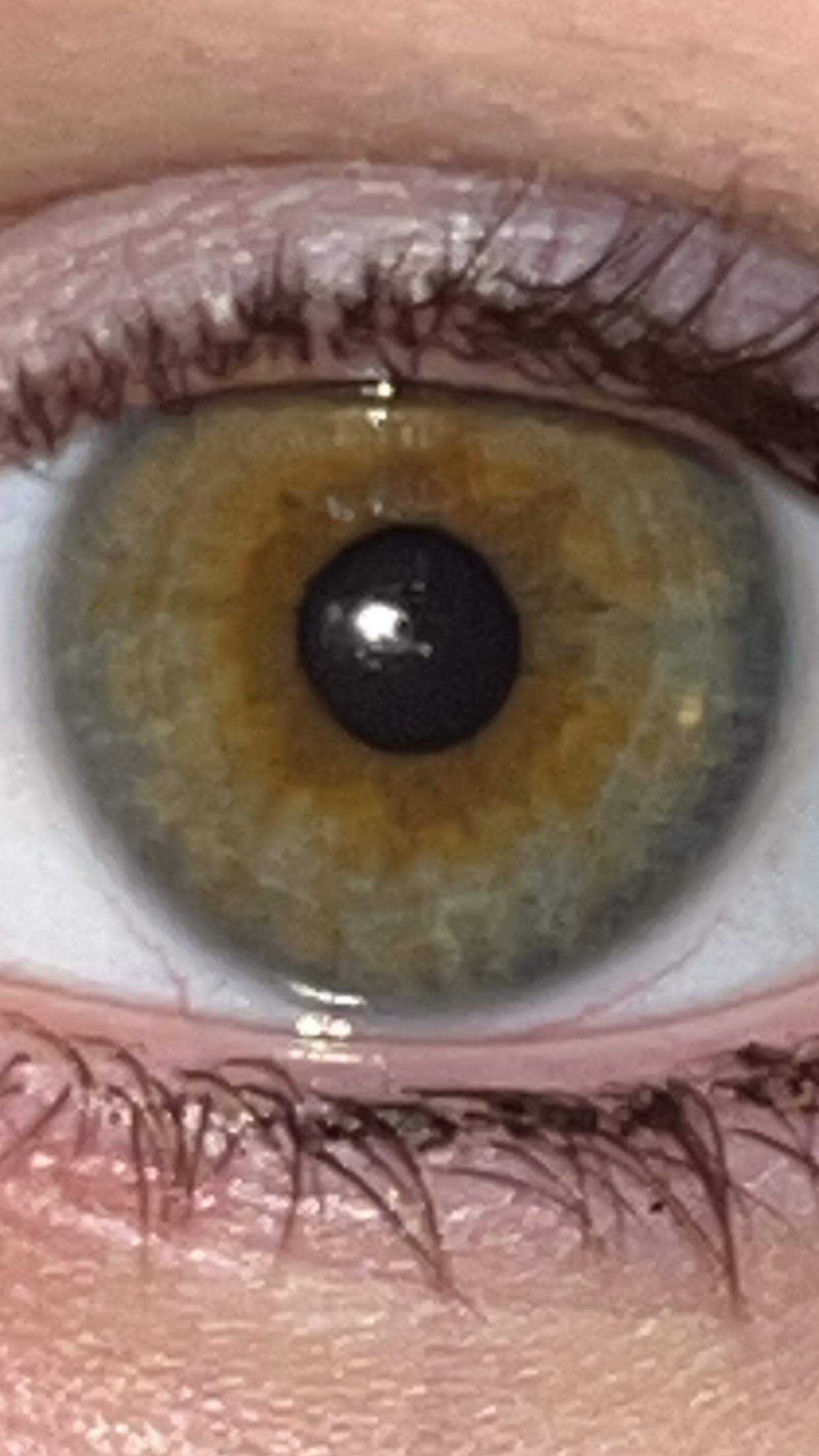 Are my eyes green or hazel? | Scrolller