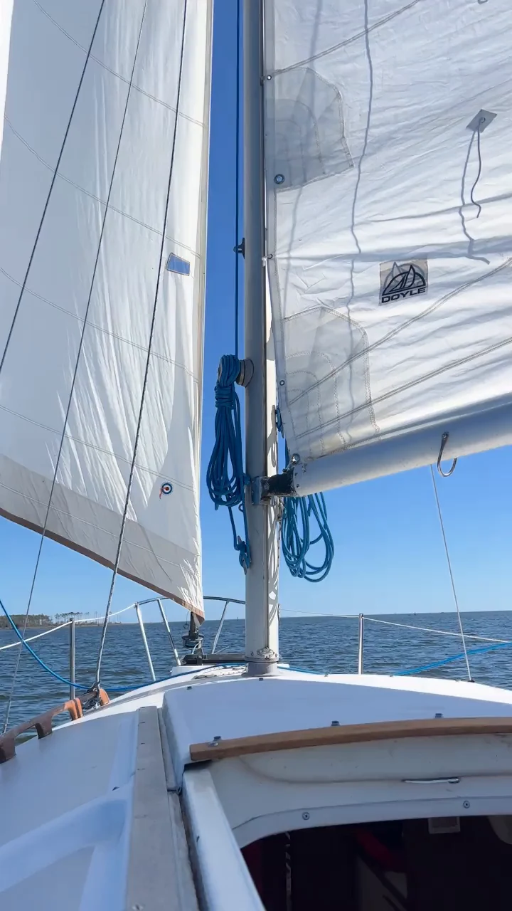 Wing on wing | Scrolller