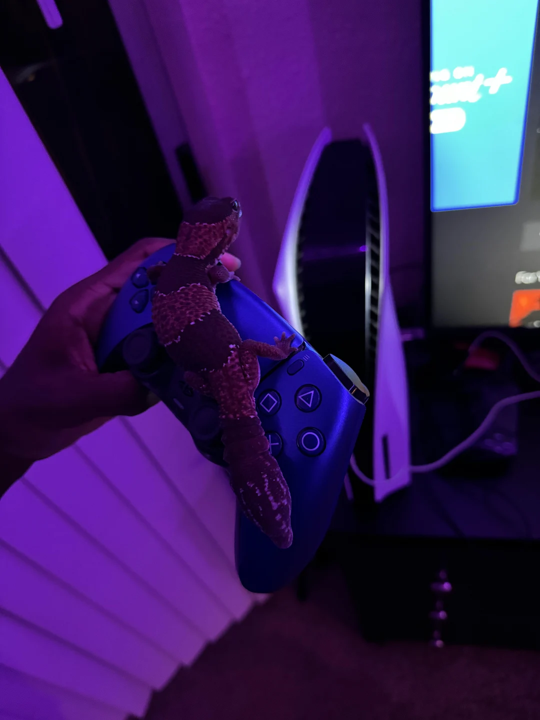 Cold Blooded Gamers | Scrolller