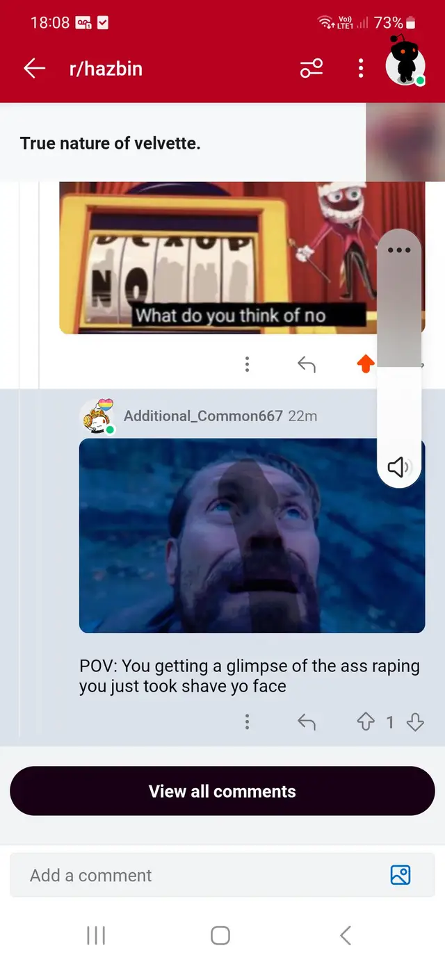 mods, can we ban this guy? he made a rape joke about me | Scrolller