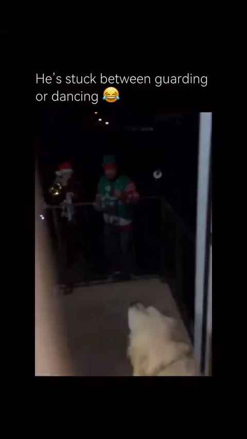 Mom do something I can’t stop dancing | Scrolller