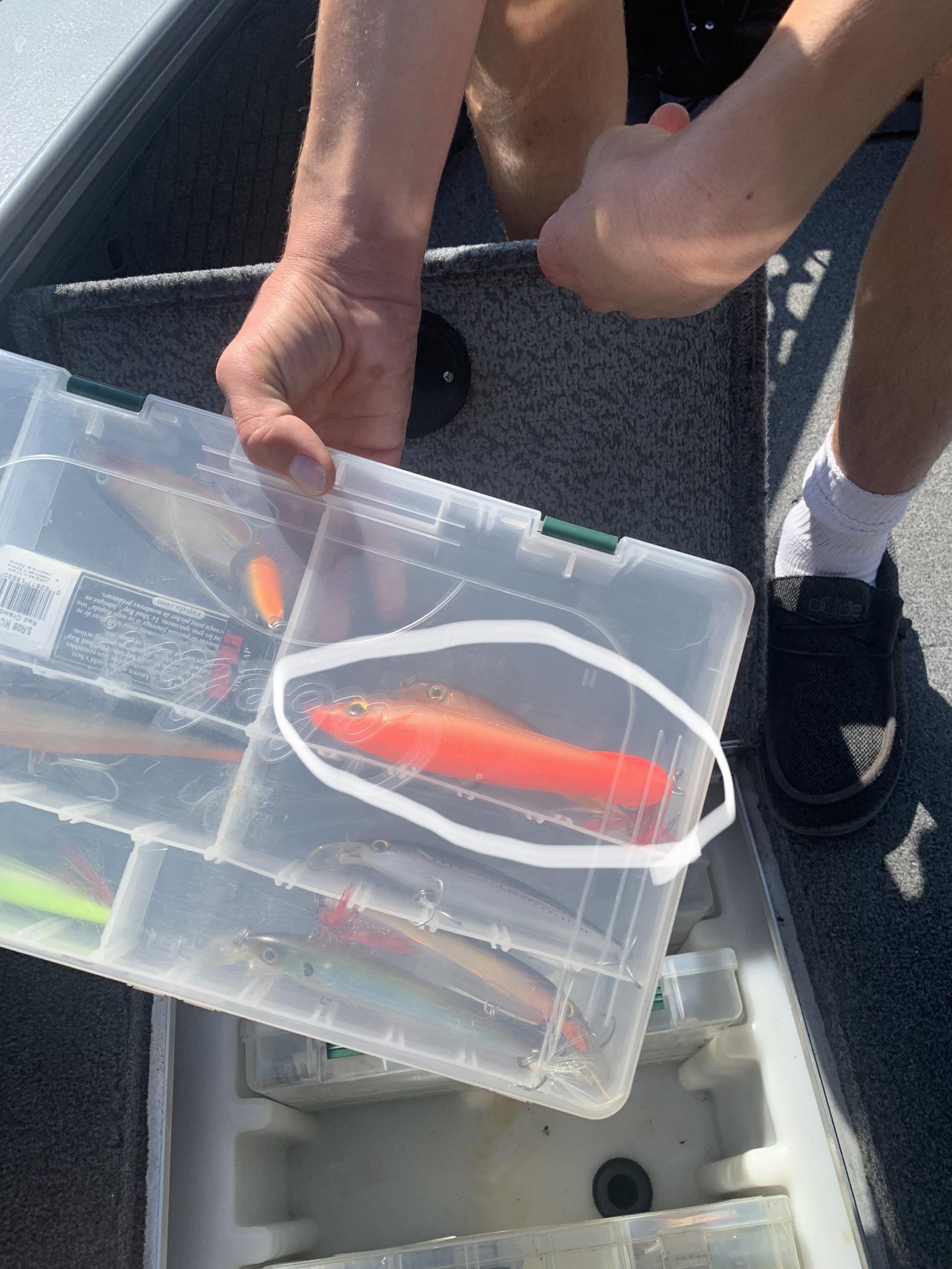 Lure id? | Scrolller