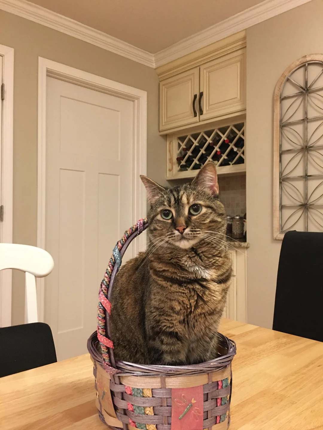 Easter Egg | Scrolller