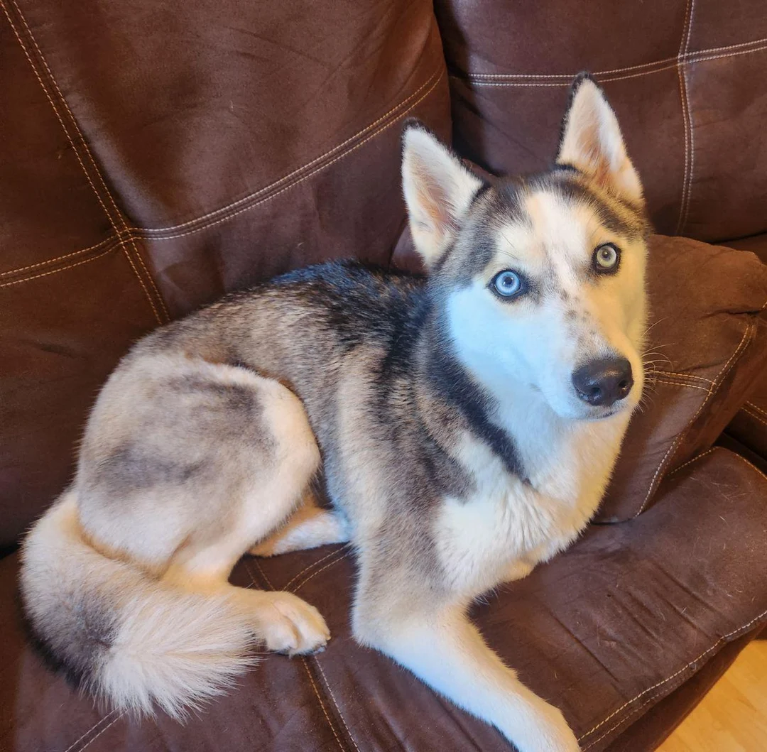 Post bath | Scrolller