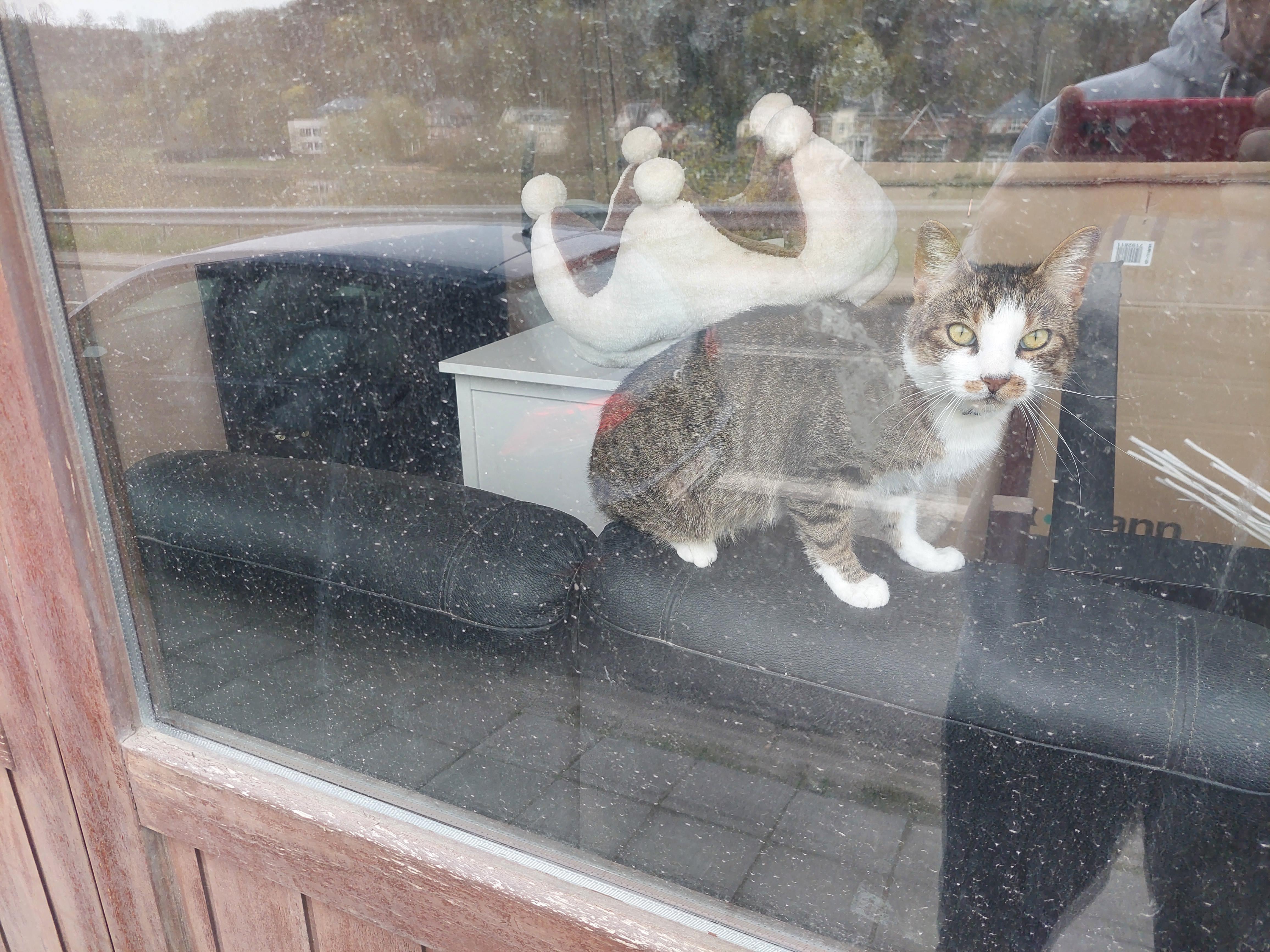 Spot the Void | Scrolller