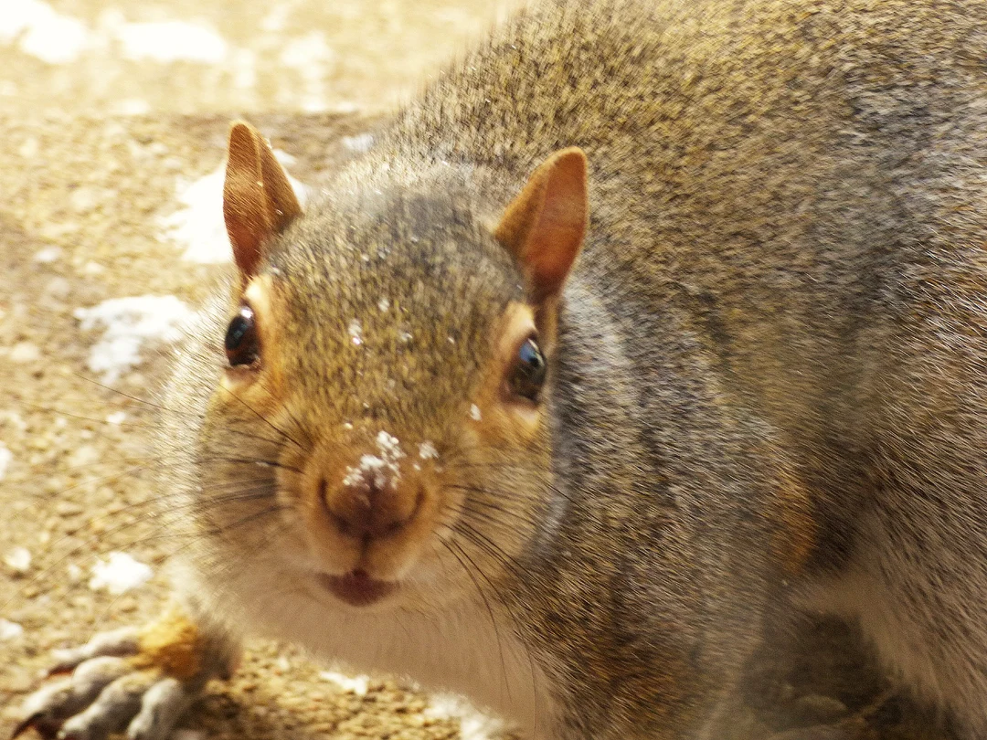 More Please | Scrolller