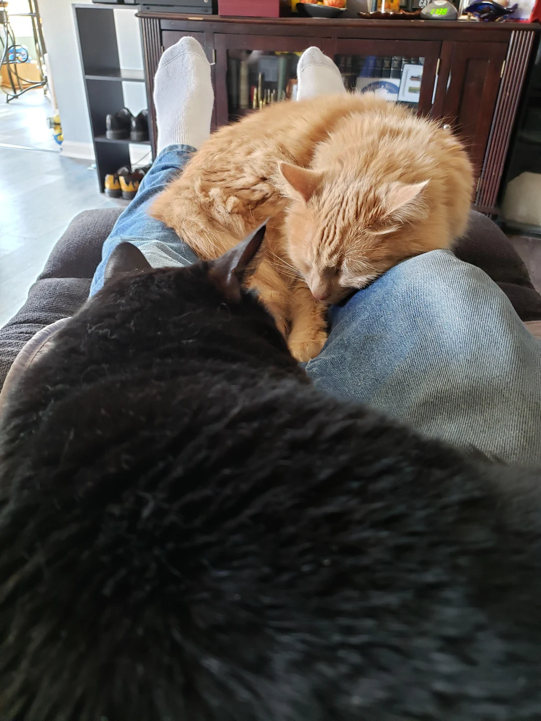 Phoenix and his void sister Pixie! | Scrolller