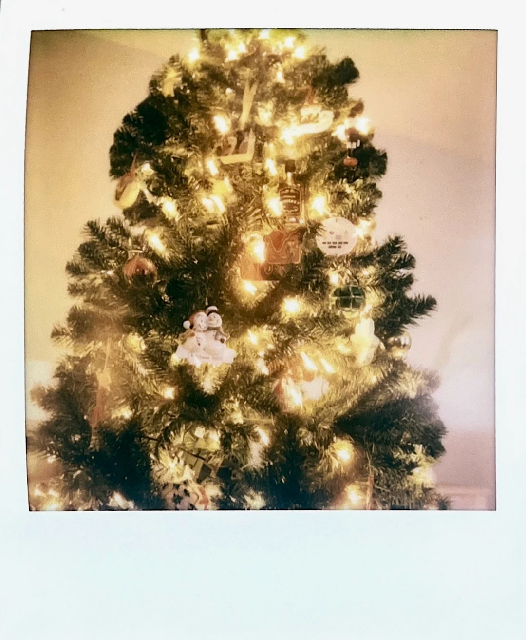 Christmas tree | Scrolller